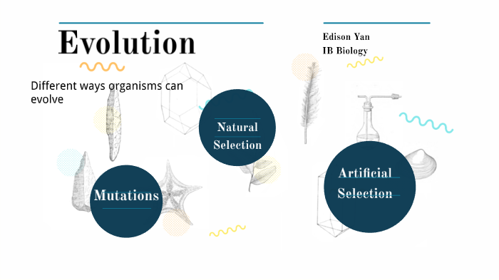 Evolution Mind map by Edison Yan on Prezi