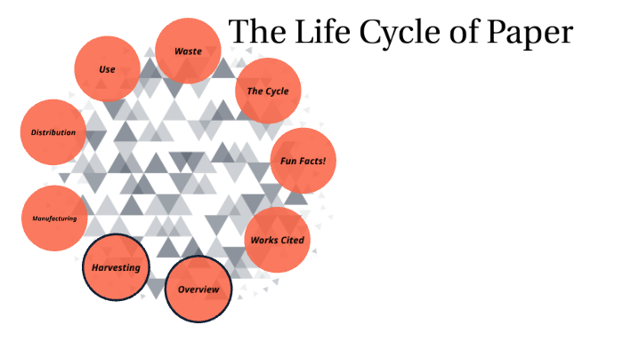 THE LIFE CYCLE OF PAPER by JOEY STORM on Prezi