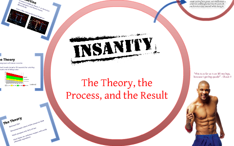 Insanity: The Theory, the Process, and the Result. by Patrick Revallo ...