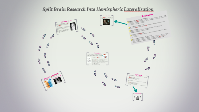 OLD - Split Brain Research Into Hemispheric Lateralisation by Lucy ...