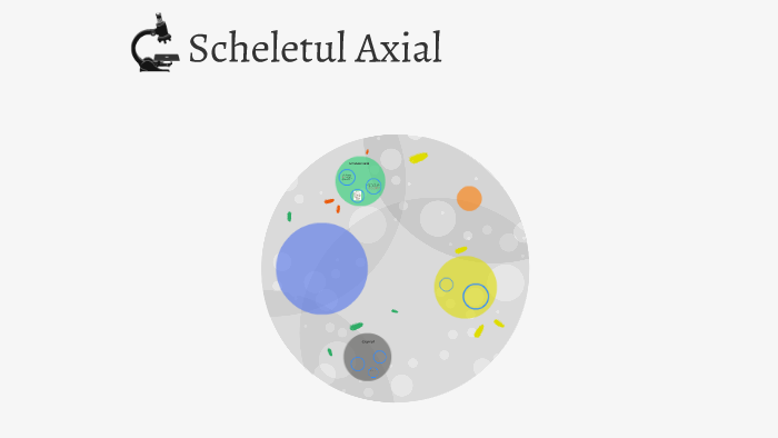 scheletul axial by Botnaru Emanuela on Prezi