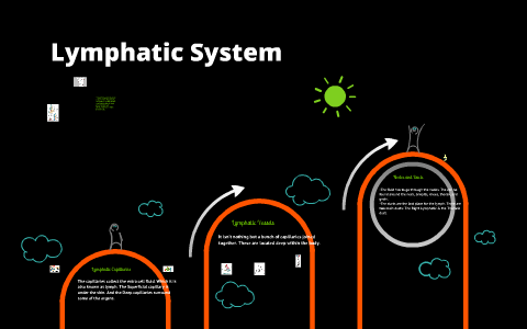 Anatomy Project: Lymphatic System by Courtney Kelley on Prezi
