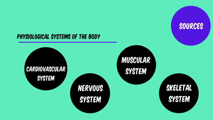 Physiological Systems by Anjelica Haberlein on Prezi