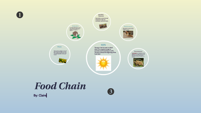 Food Chain Project by Claire Hines on Prezi
