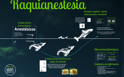 anestesia raquidea by jonathan murcia on Prezi