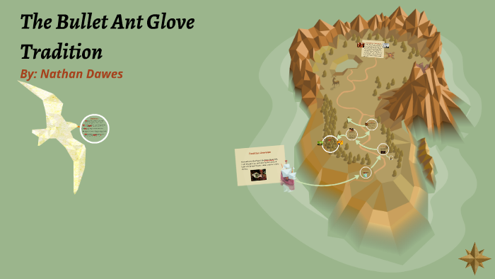 The Bullet Ant Glove Tradition by Nathan Dawes on Prezi