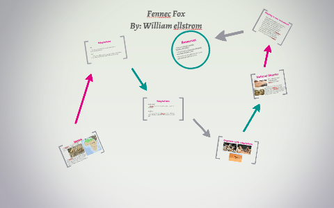 Fennec Fox Evolution by William Ellstrom on Prezi