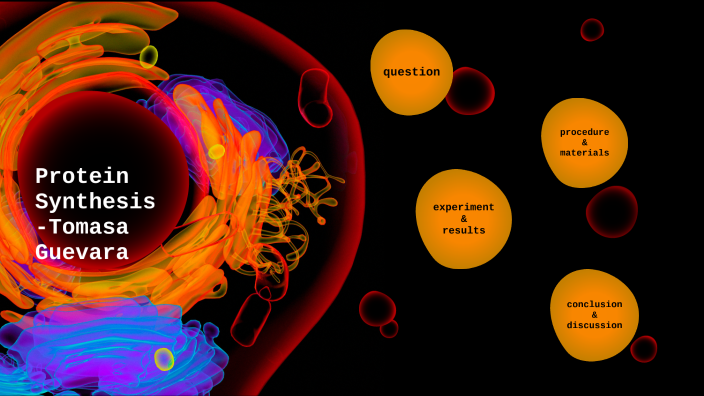 Protein Synthesis flowchart by Tomasa Guevara on Prezi