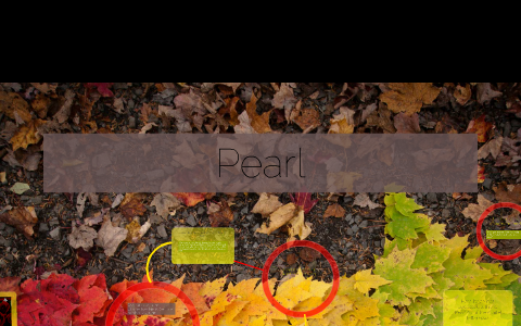 Pearl Timeline by Malkia Nyakako on Prezi