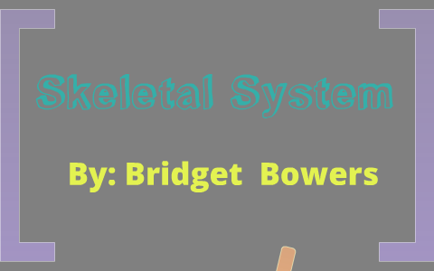 Skeletal System by Bridget Bowers on Prezi
