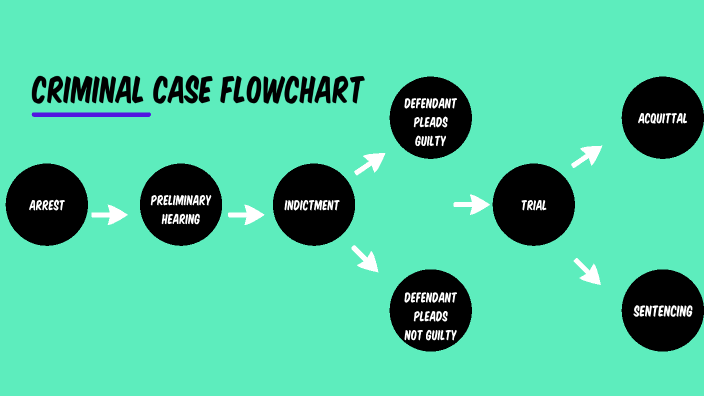 Criminal Case flowchart by payton swan on Prezi