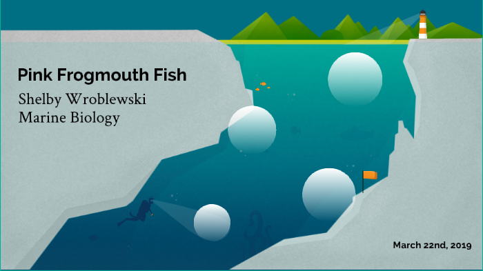 Pink Frogmouth Fish by Shelby Wroblewski on Prezi