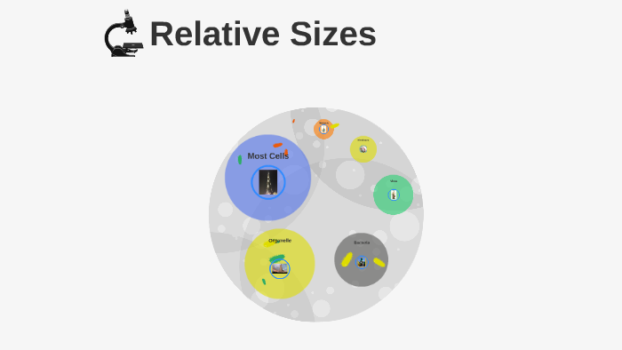 Relative Sizes by Jonathan Covert on Prezi