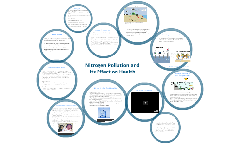Nitrogen Pollution and Its Effect on Human Health by Lillian Hughes on ...