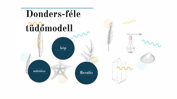 Donders-féle tüdőmodell by Tamara Percze on Prezi