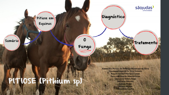 Pitiose Pithium sp - Microbiologia by Alexandra Bondezan on Prezi