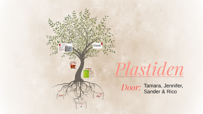 Plastiden by Rico Vrind on Prezi