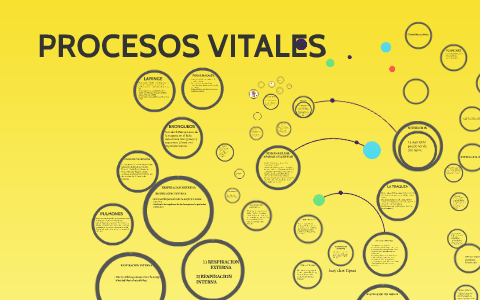 PROCESOS VITALES by Nikolas Cevallos on Prezi