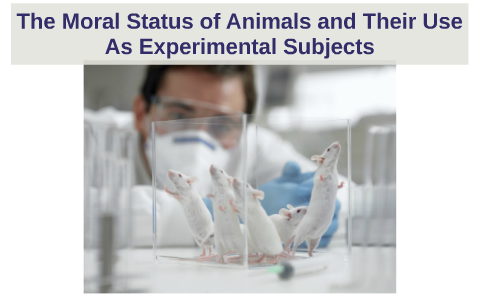 The Moral Status of Animals and Their Use by Sofia Evald on Prezi