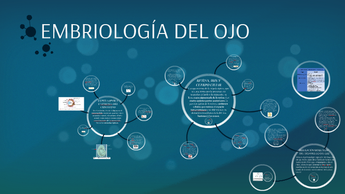 EMBRIOLOGIA DEL OJO by Iván Fontana on Prezi