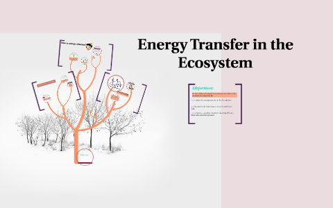 Energy Transfer in the Ecosystem by kristie joyce hangad on Prezi