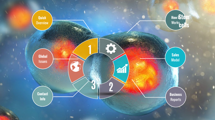 poster stem cells by Auguste Ternynck on Prezi