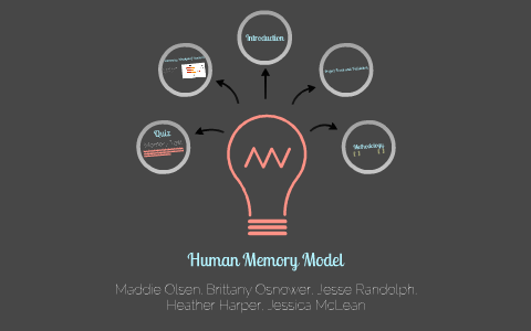 Human Memory Model by Maddie Olsen on Prezi