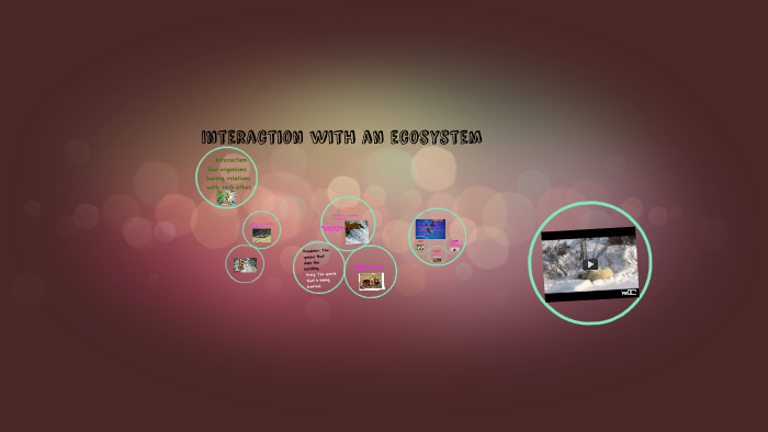 Interaction with an ecosystem by Jordan Dumont on Prezi