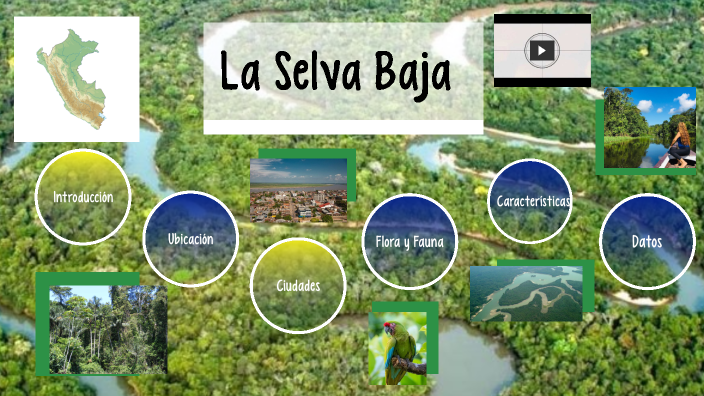 SELVA BAJA by brigytte safora arroyo on Prezi