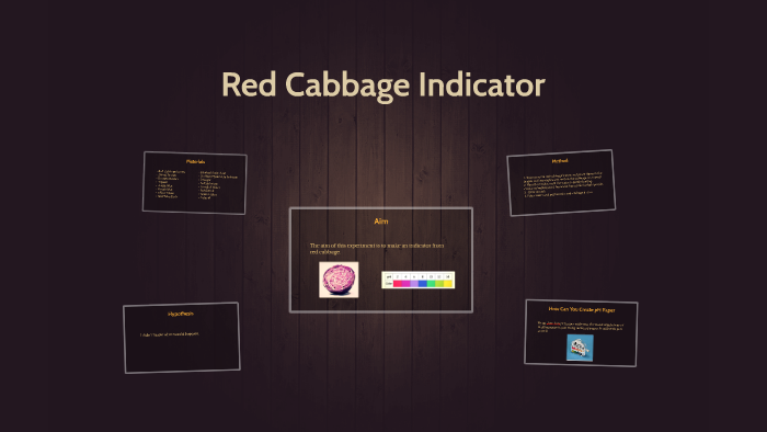 Red Cabbage Indicator by Imogen Coleman-Shortis