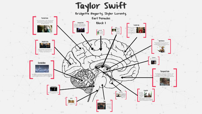 Celebrity Brain Slides: Taylor Swift by Bridgette H on Prezi