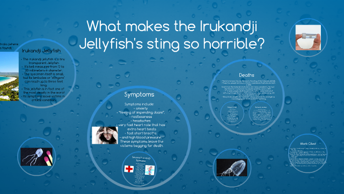 Irukandji Jellyfish Sting