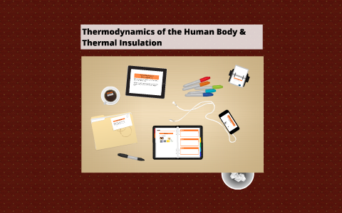 Thermodynamics of the Human Body & Thermal Insulation by Brian Gallegos ...