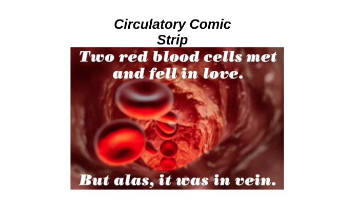 Circulatory Comic Strip by Ichigo Ijirashi on Prezi