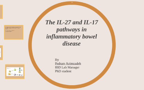 The IL-23/IL-17 pathway in inflammatory bowel disease by Pedram ...