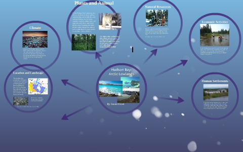 Hudson Bay-Artic Lowlands by David Duan on Prezi