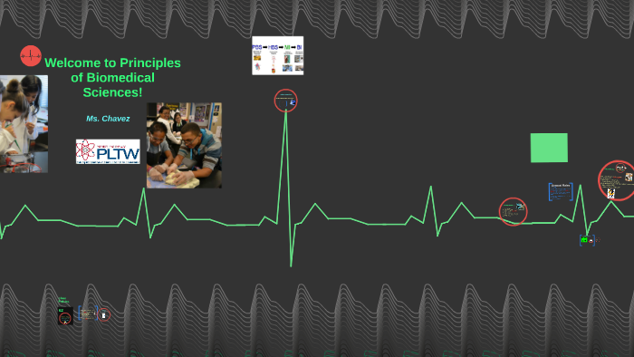 Welcome to Principles of Biomedical Sciences! by Melissa Chavez on Prezi