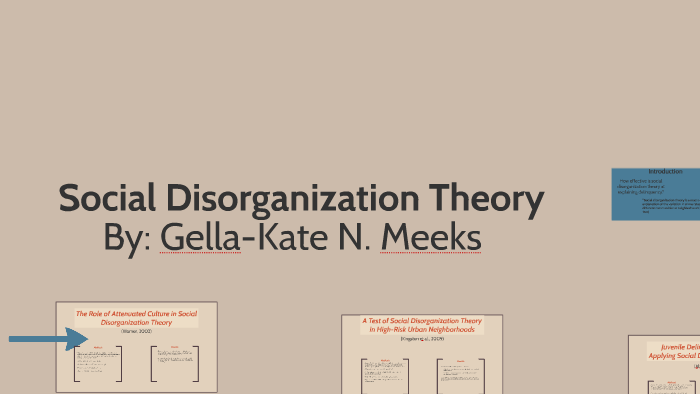 Social Disorganization Theory by gella-kate meeks