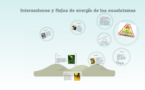 interacciones y flujos de energia de los ecosistemas by Valentina Neira ...