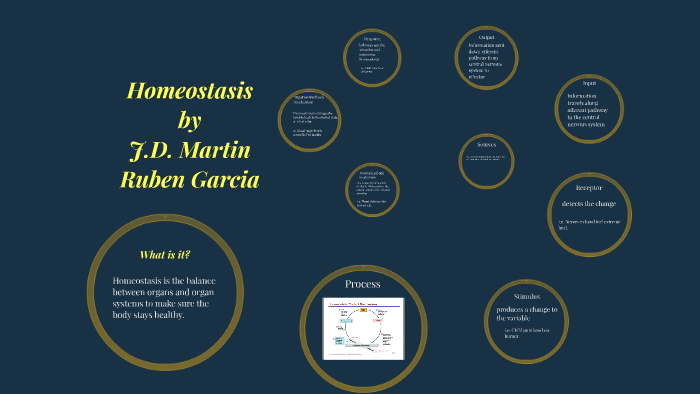 Homeostasis project by John Martin on Prezi