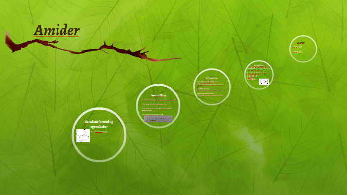 Amider by Thomas Nielsen on Prezi