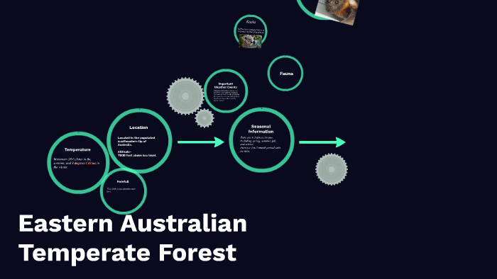 Eastern Australian Temperate Forest by willie rogers on Prezi