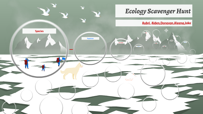 Ecology Scavenger Hunt by aubriana garrett on Prezi