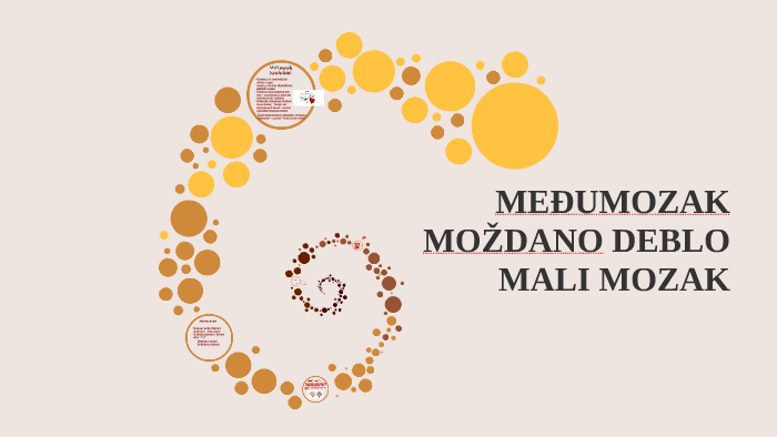 Međumozak, moždano deblo i mali mozak by Paula Mustapic on Prezi