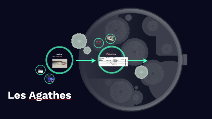 Les Agnathes by Erica Boudreau on Prezi
