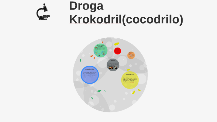 Droga Kokodril(cocodrilo) by Fabiana Rivera on Prezi