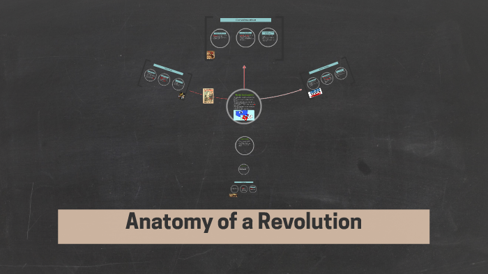 Anatomy of a Revolution by Mariah Hernandez