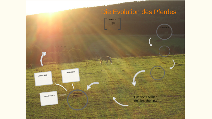 Die Evolution des Pferdes by Maya Nielson