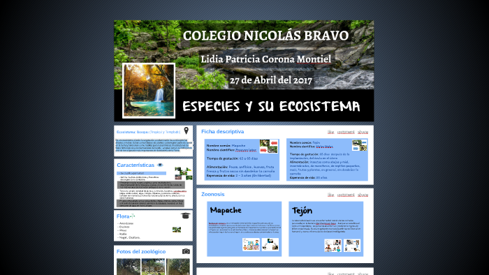 TEJON Y MAPACHE by Patito Corona on Prezi