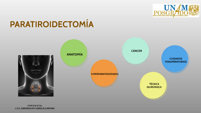 PARATIROIDECTOMIA by Gwendolin Flores on Prezi